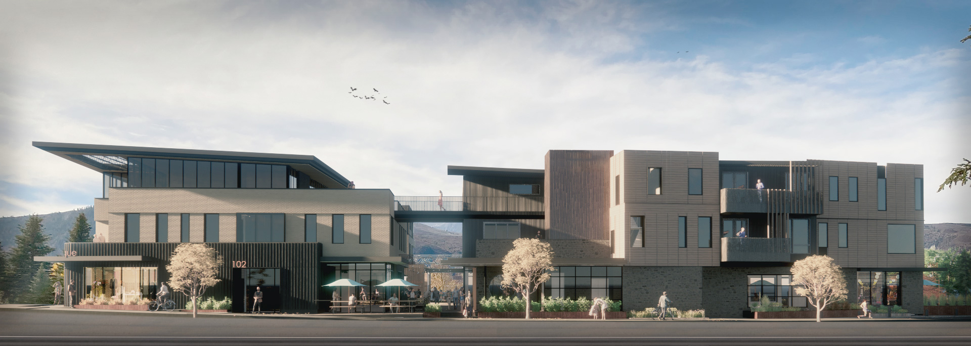THE ACE – bldg seed architects